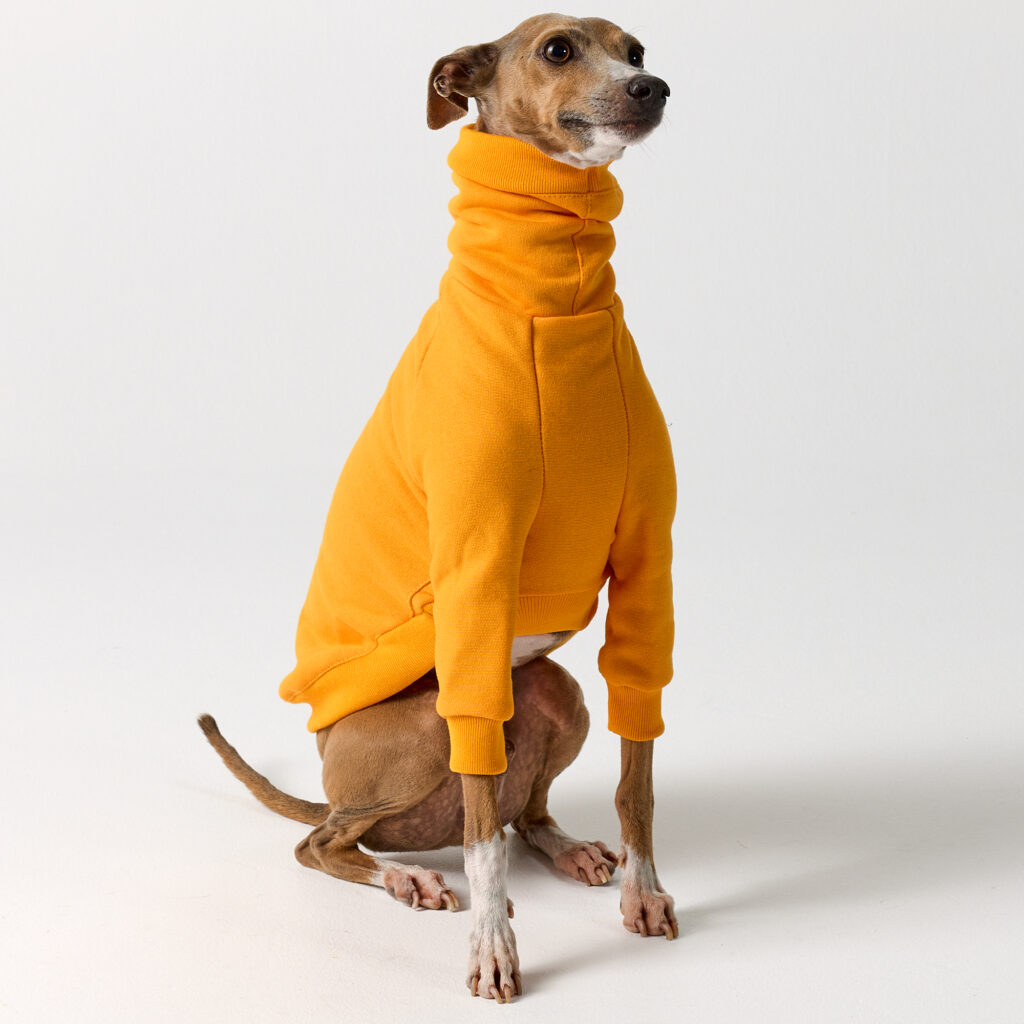 Half Suit Turtleneck - Fleece Yellow - Italian Greyhounds Clothes