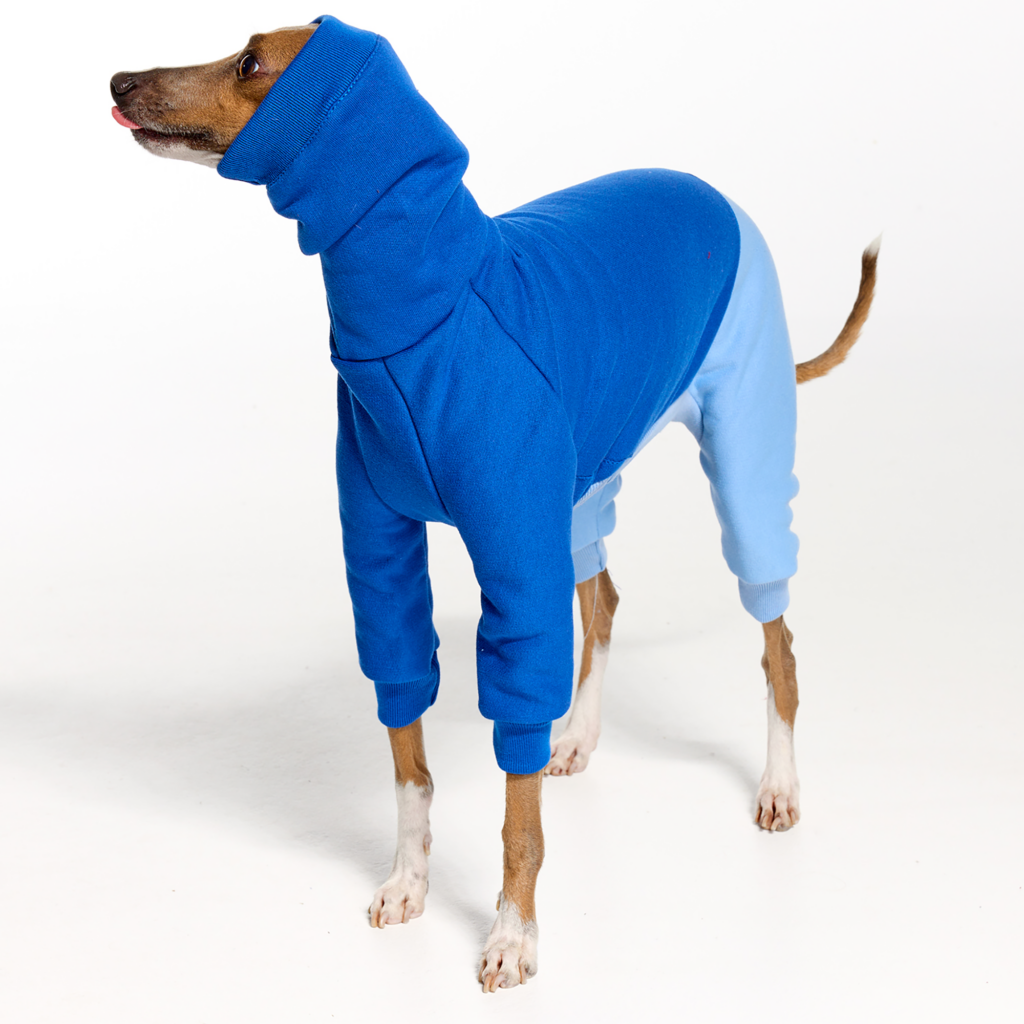 Italian Greyhound Clothing & Iggy Clothing at Royal Hound Clothing