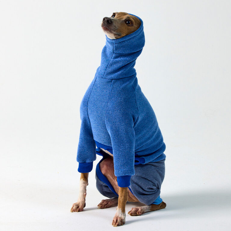 Italian Greyhound Clothing & Iggy Clothing at Royal Hound Clothing