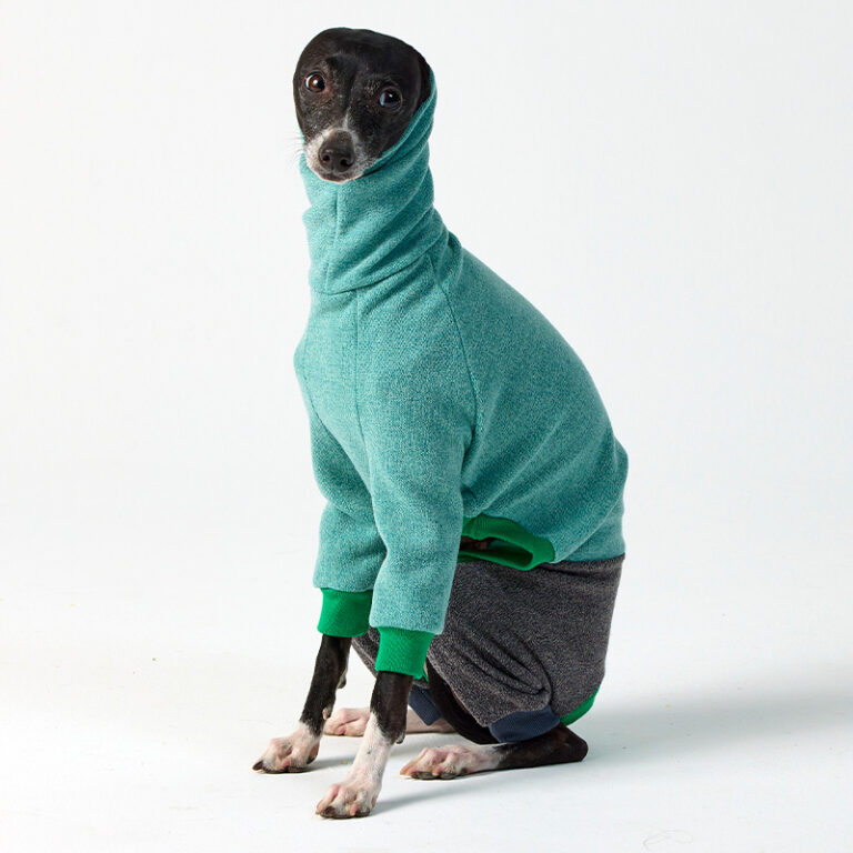 Italian Greyhound Clothing & Iggy Clothing at Royal Hound Clothing